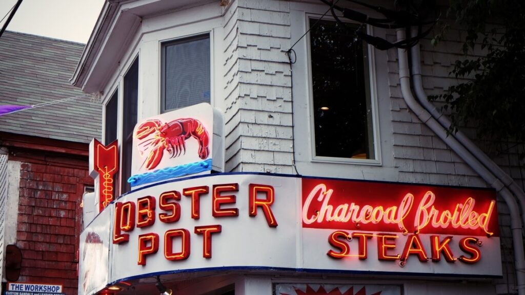 What is the importance of Magnify Signs? - Gga4 Business