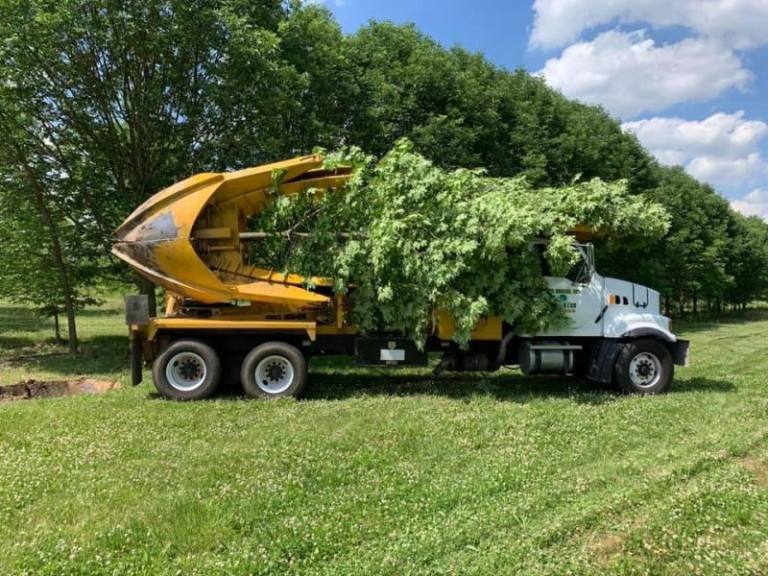 The Science of Tree Root Balling: Treemover Specialized Equipment and ...